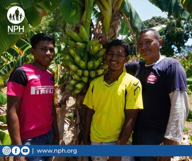 Donation Receipt Ad - NPH